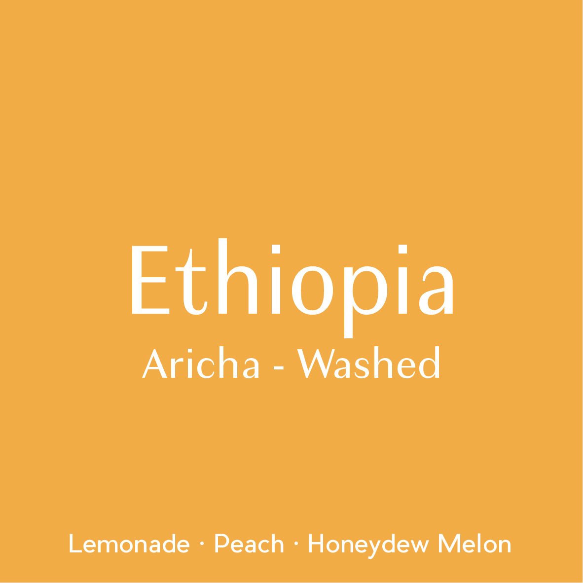 Ethiopia Aricha Washed – Prodigal Coffee Roasters Store